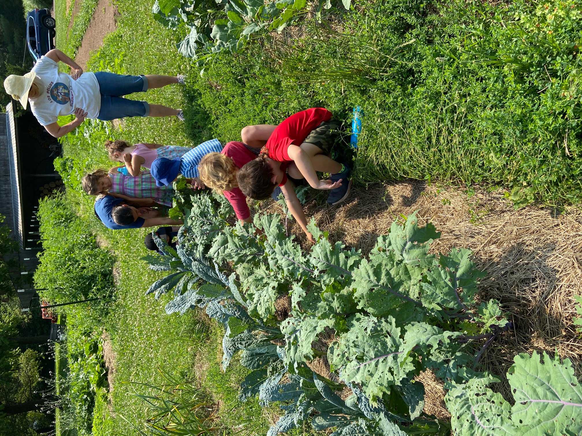 Food and Farming Program